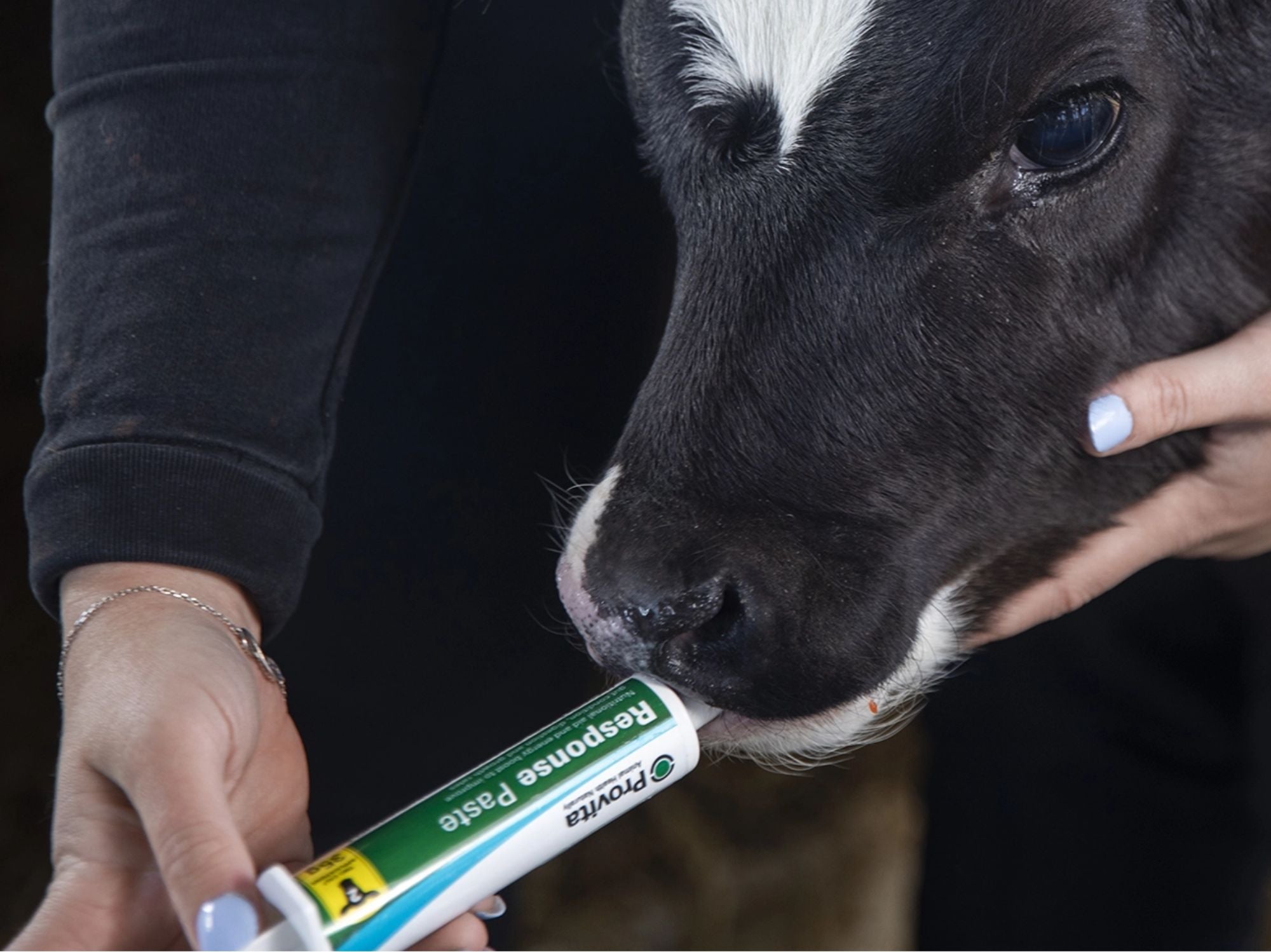 Gi kalvene dine en sterk start med Provita Response Paste – Multivern