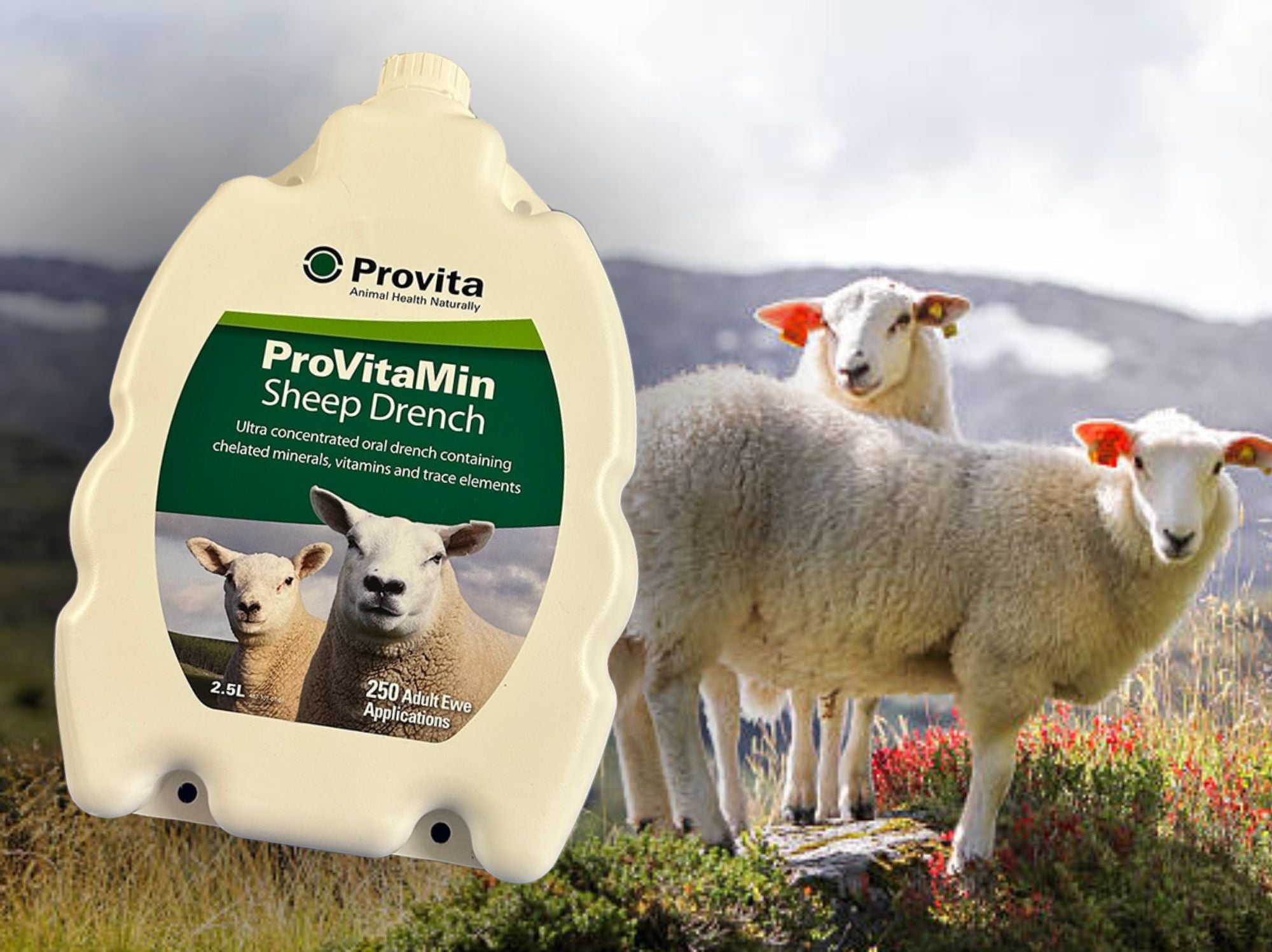 ProVitaMin Sheep Drench – Et komplett tilskudd for Sau og Lam – Multivern